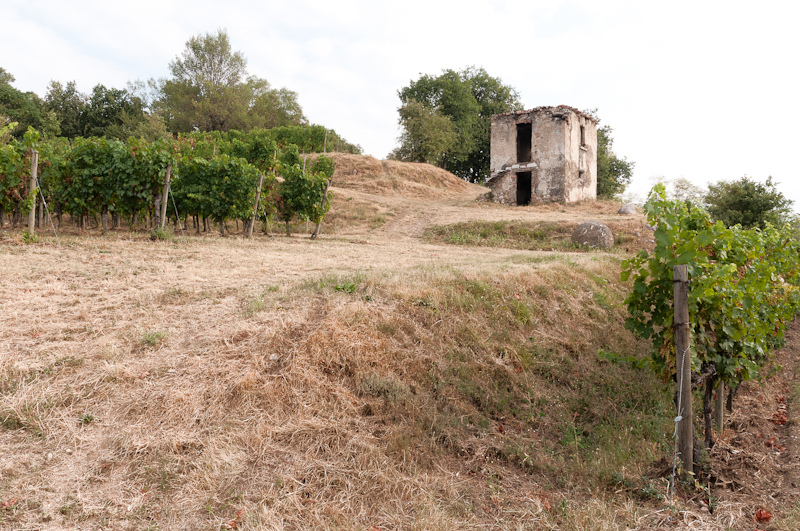 Erbusco and Rovato - Bresciaholiday.com - Scoprire Brescia e la sua ...